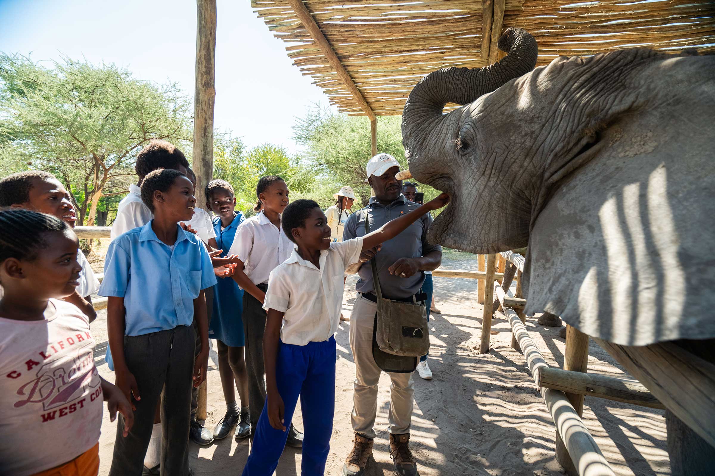 Elephant Havens Wildlife Foundation | Protect and Preserve